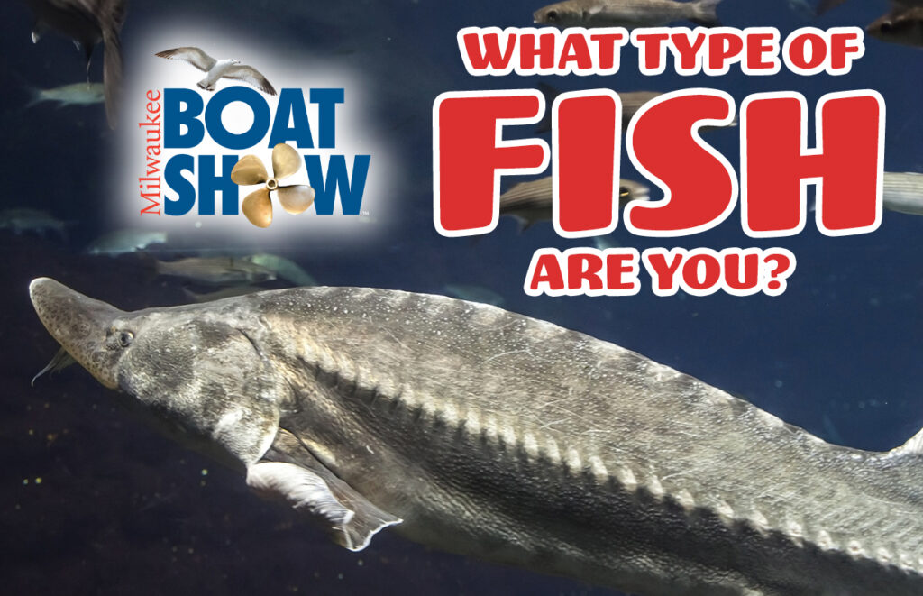 What Type of FISH are You? - 102.9 THE HOG